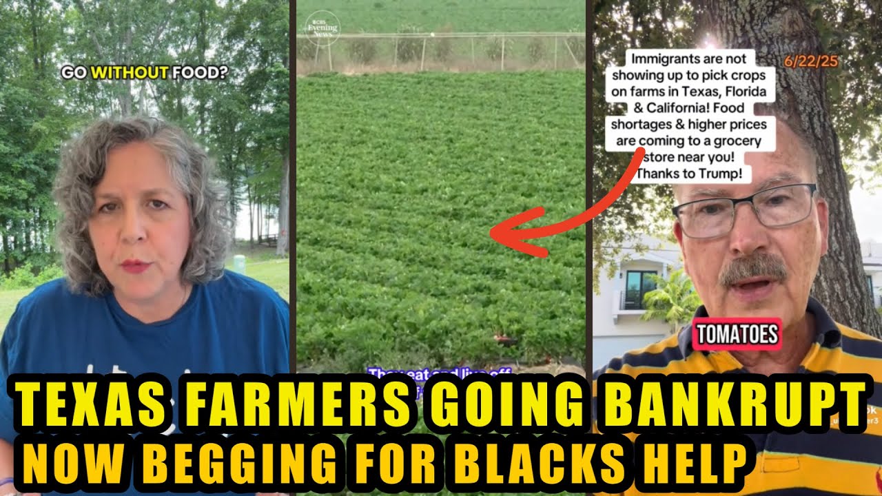 Texas MAGA Farmers Going Bankrupt Asking For Blacks Helps A 100% No ...