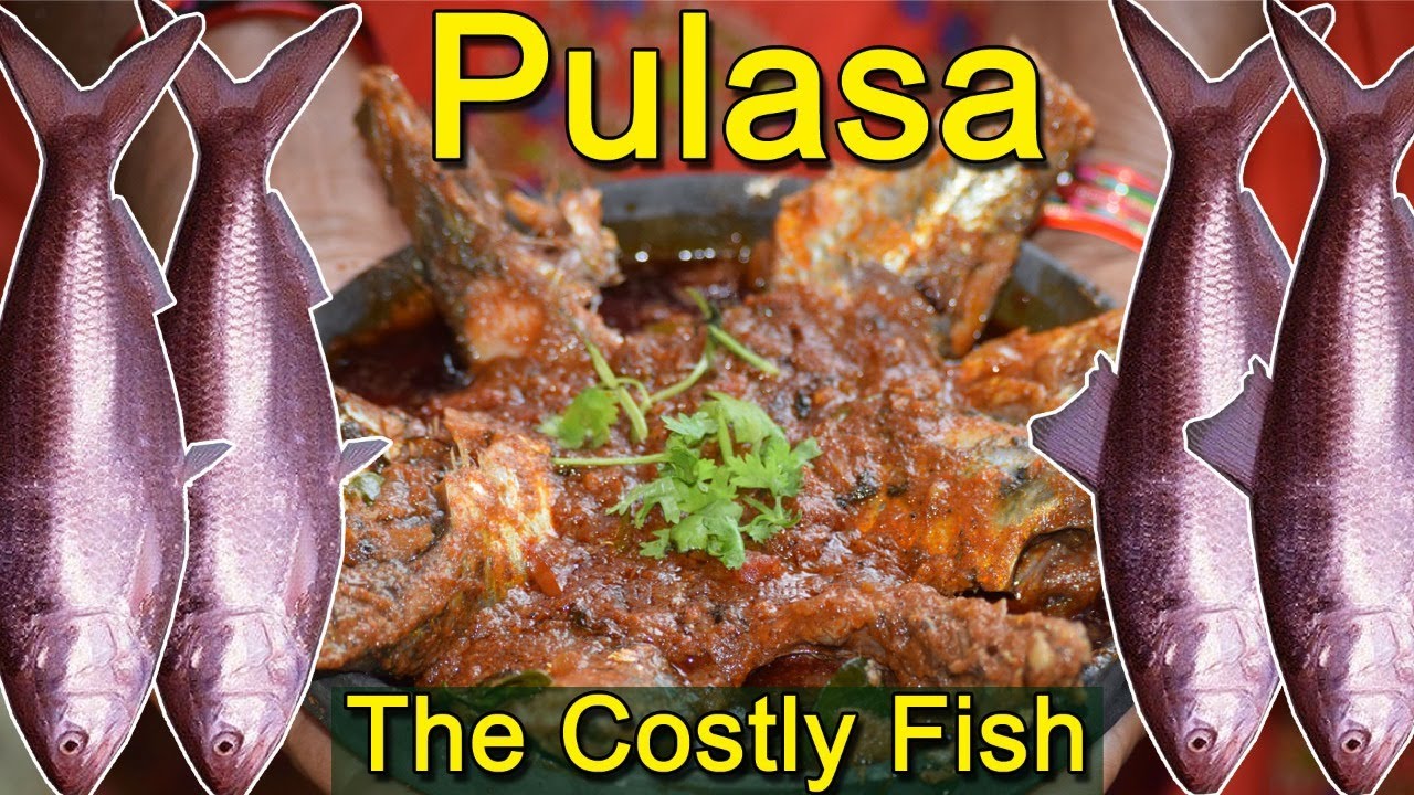 pulasa fish | ilish Fish Recipe | Indian spicy country food - YouTube