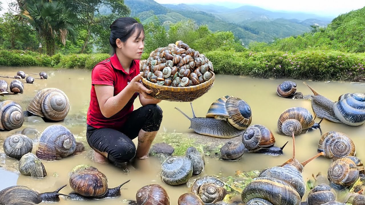 How To Catch Snail and Mussel in River to sell - Ultimate Trap fish ...