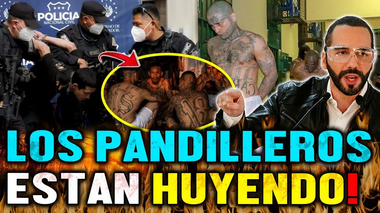 LOS PANDILLEROS ESTAN HUYENDO😱 - YouTube