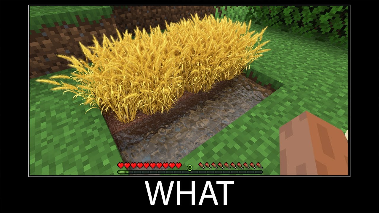 Minecraft wait what meme part 77 realistic minecraft wheat - YouTube