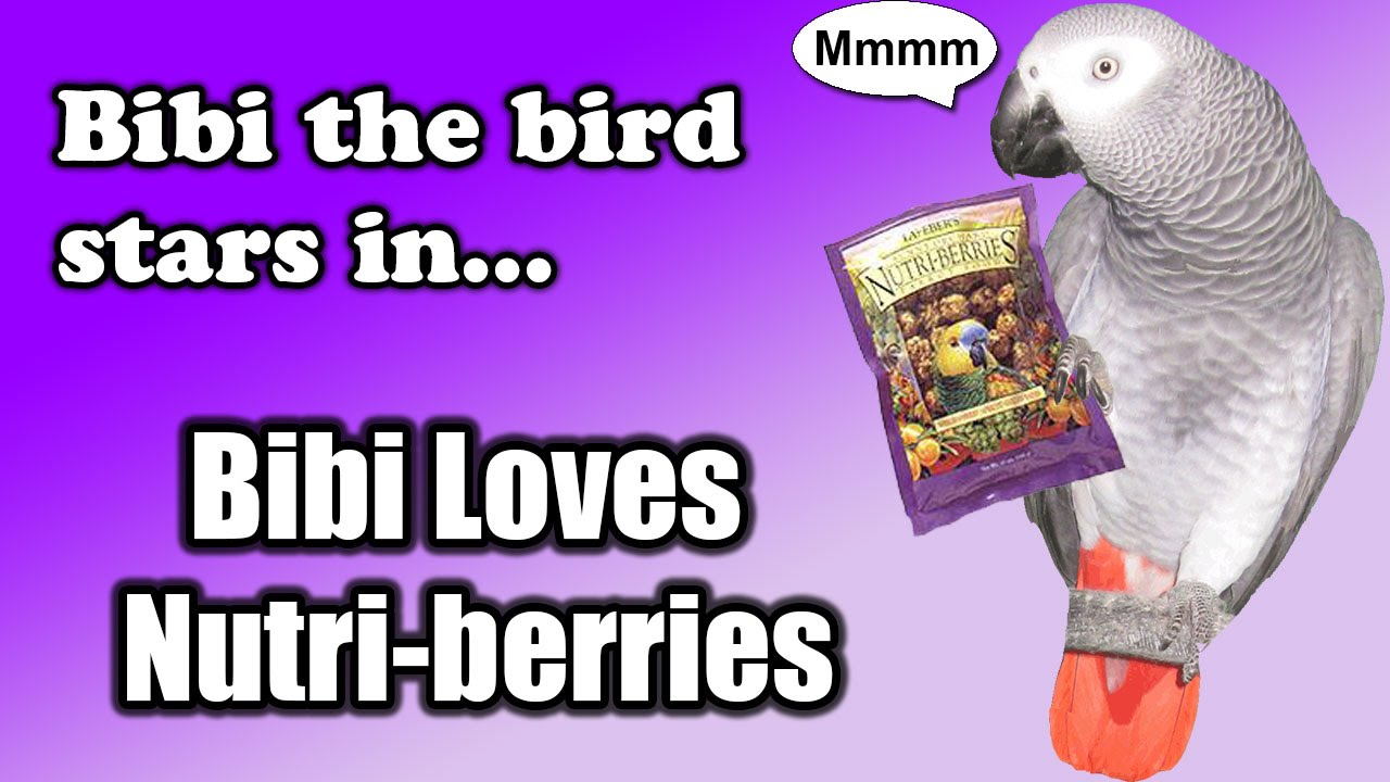 Bibi Loves Nutri-Berries - YouTube