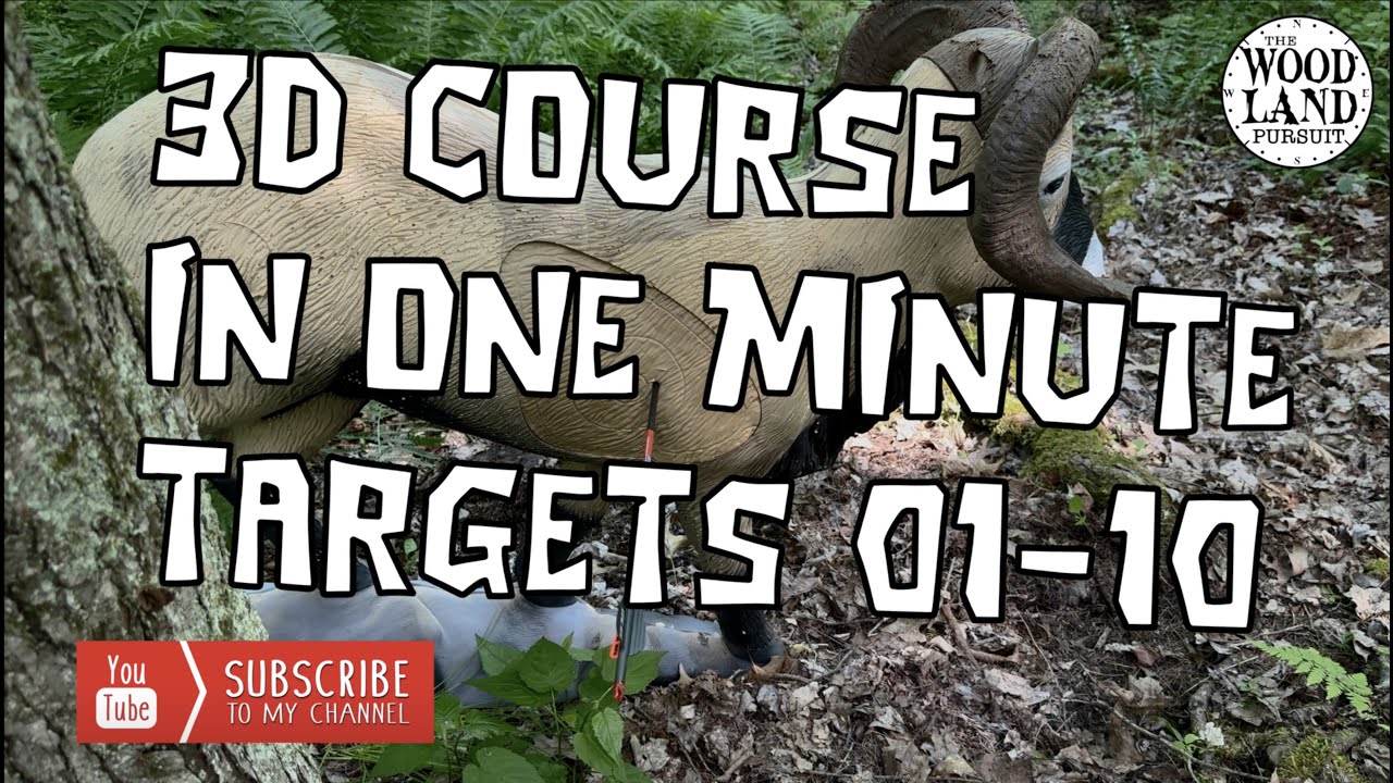 Local archery 3D course in 1 Minute!! First 10 targets. Getting ready ...