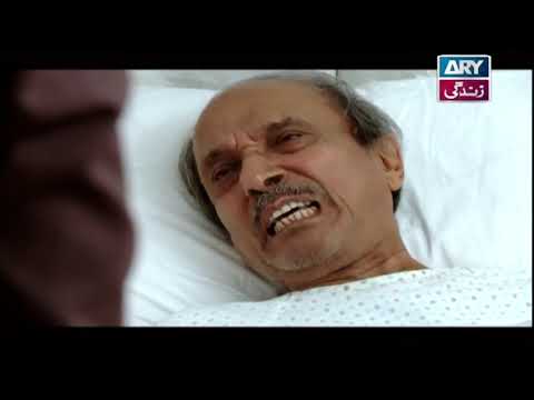 Main chand si last episode 22