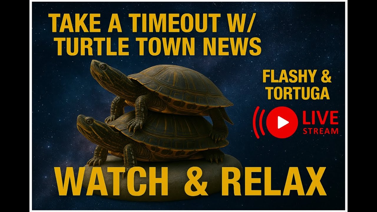 Turtle Meditation Live – Peaceful Aquatic ASMR for Breathwork & Calm ...