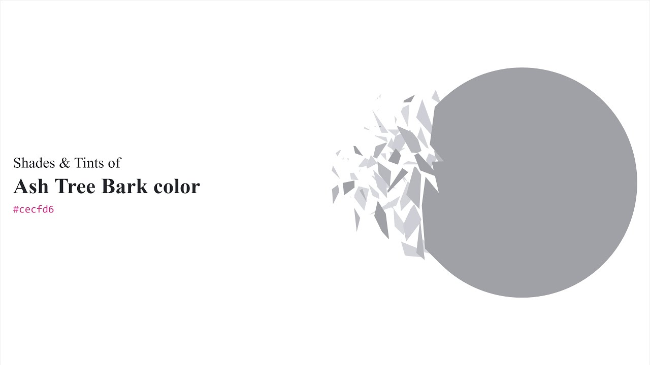Shades & Tints of Ash Tree Bark color #cecfd6 A Cool Blue color #b7b8be ...
