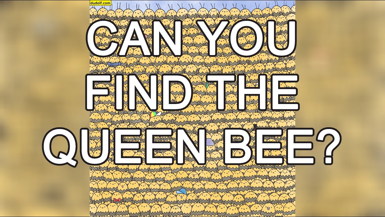 Can You find the QUEEN BEE? - YouTube