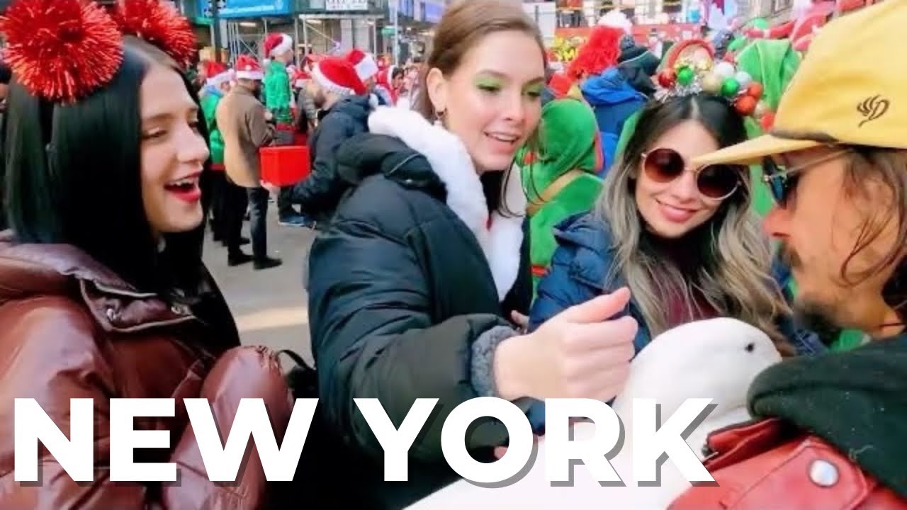 Wrinkle the Duck New York Christmas Best scene 4K HD - YouTube