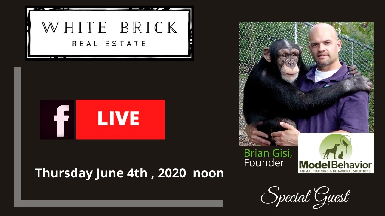Meet Brian Gisi, Founder of Model Behavior Animal Training & Behavioral ...