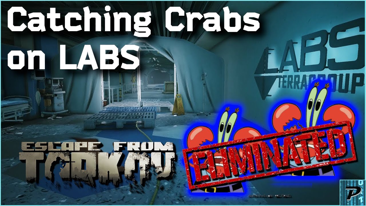 Catching Crabs on Labs #tarkov #escapefromtarkov #eft #eft #fypシ ...
