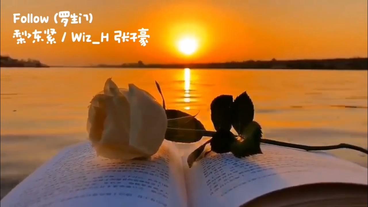 梨冻紧/Wiz_H 张子豪- FOLLOW (罗生门)【伴奏含副歌】 - YouTube