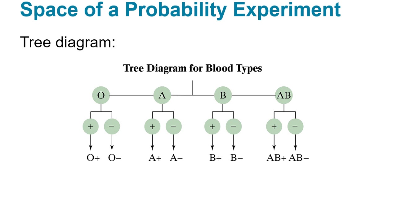 Sample Spaces and Simple Events - YouTube
