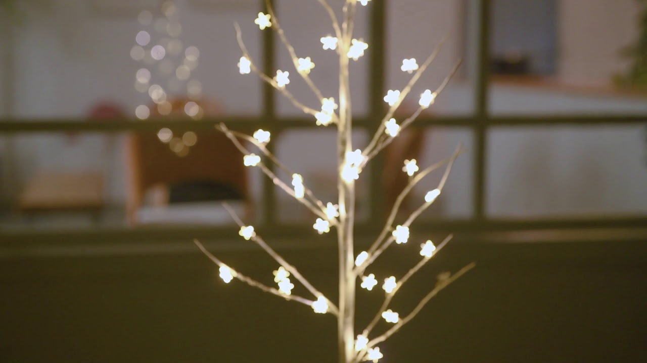 EAMBRITE 2FT 45LT Pre-lit Birch Tree with Star for Home Party Birthday ...