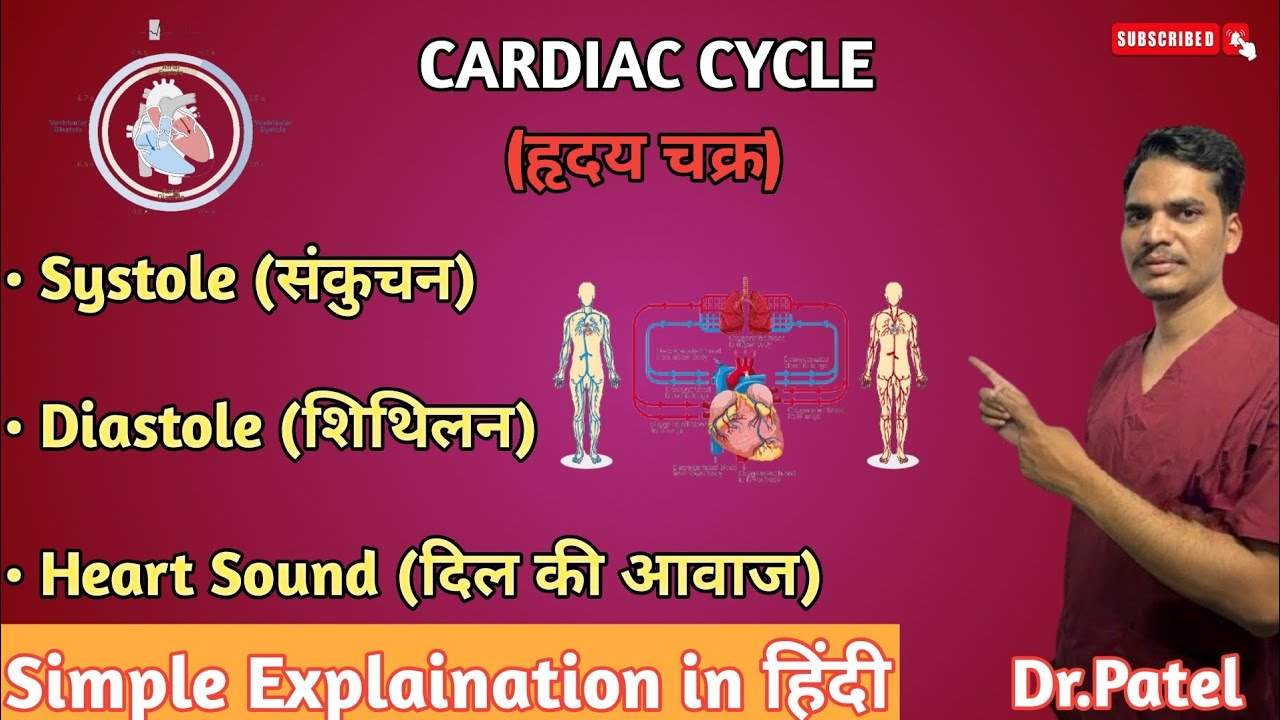 Cardiac Cycle in hindi | Cardiac Cycle of Heart | SA Node | AV Node ...