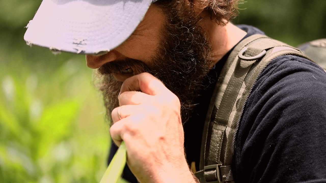 Simple Survival Series - Video 6: Discovering Water + More Wild Edibles ...