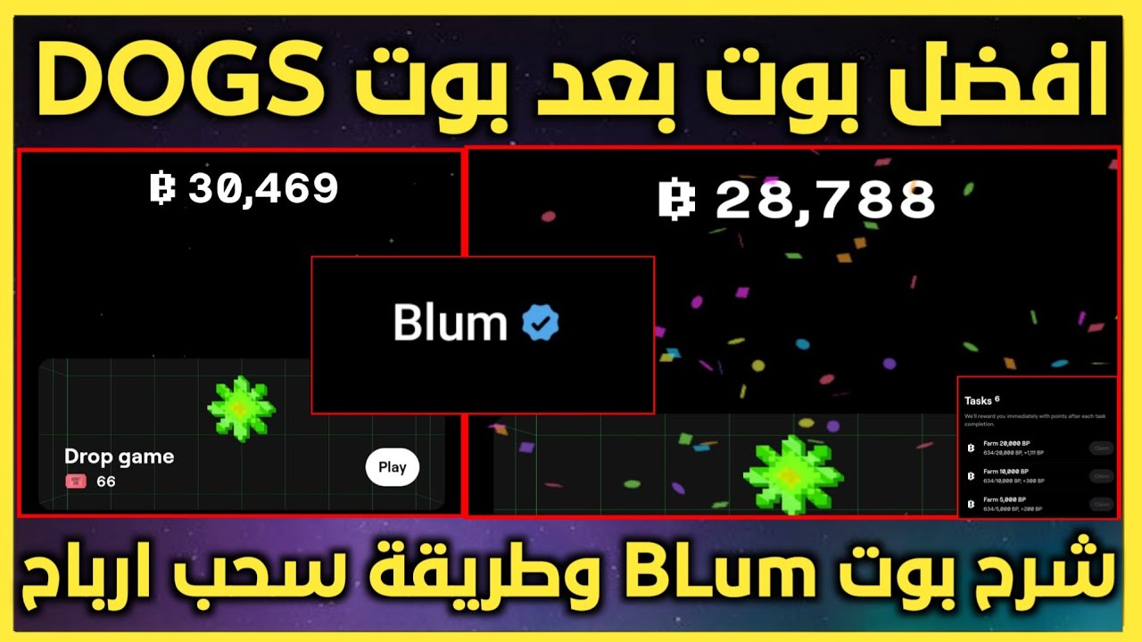شرح بوت بلوBIum/كيفية العمل على جمع العملات وسحب الارباح من بوتBIum - YouTube