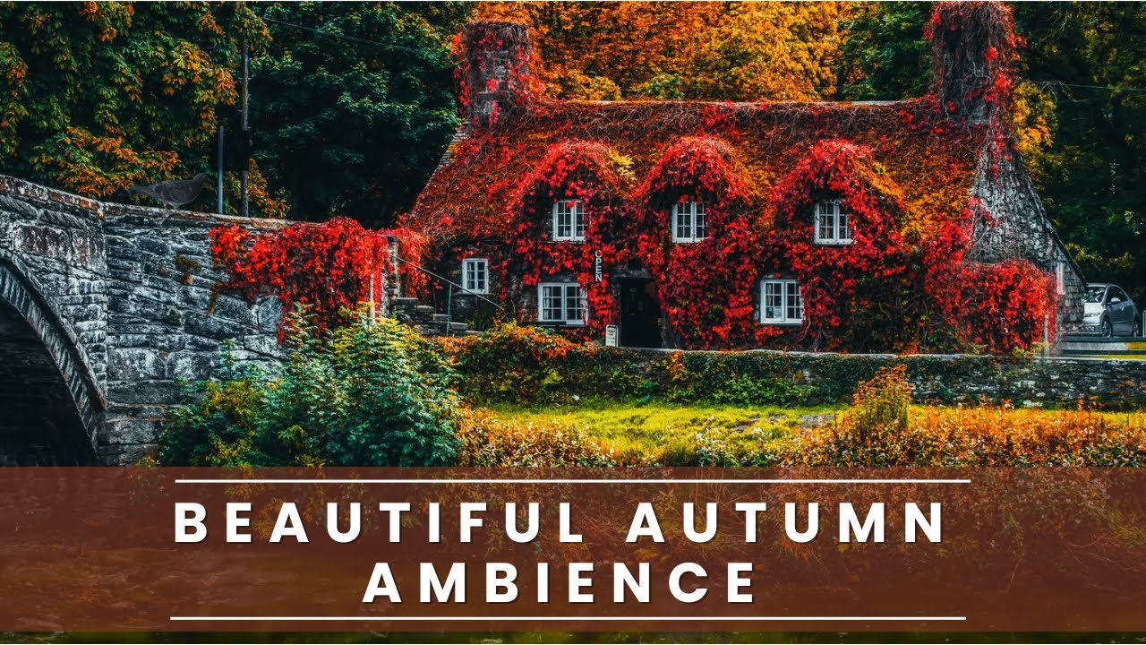 Autumn Ambience Beautiful Colorful Leaf Covered Cottage - YouTube