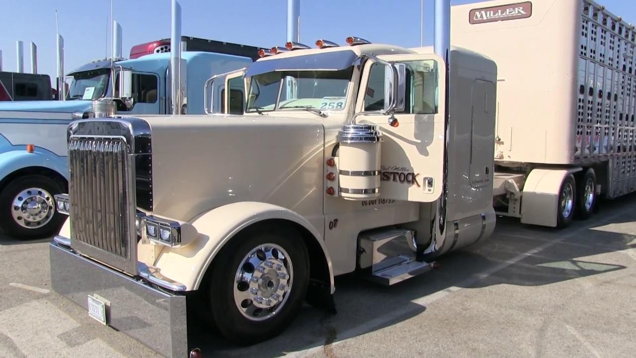 Miller Livestock's Amazing Peterbilt 379 Looking 389 And Wilson Cattle ...