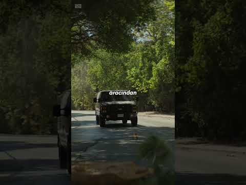 Black Panther Filmindeki Plaka Detayı