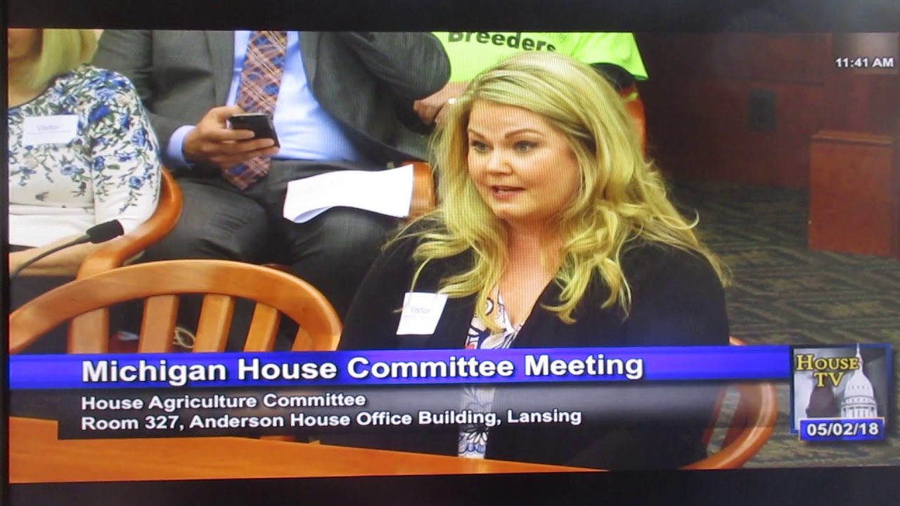 Attorney Jennifer Measel Opposing the "Petland Bills" HB5917 - YouTube