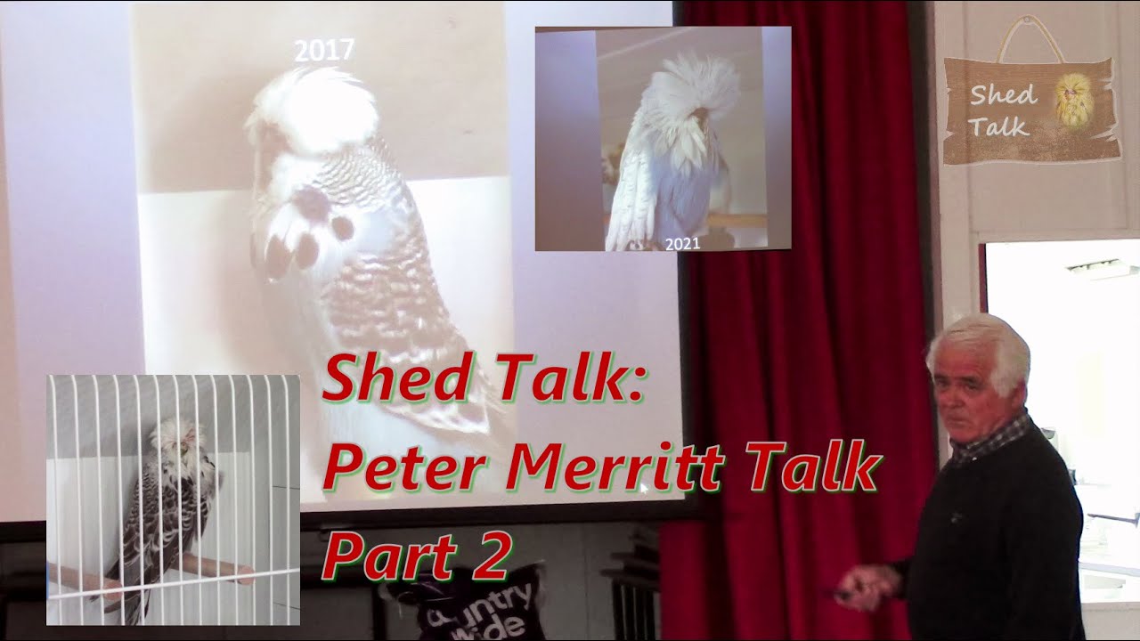 Series 2 Episode 32: Peter Merritt Talk Part 2 - YouTube