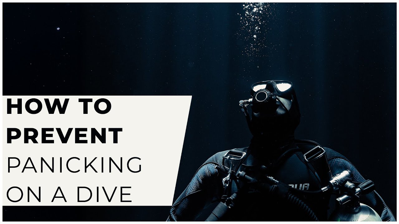 How to Prevent Panic While Scuba Diving | Pro Tips for a Calm Dive ...