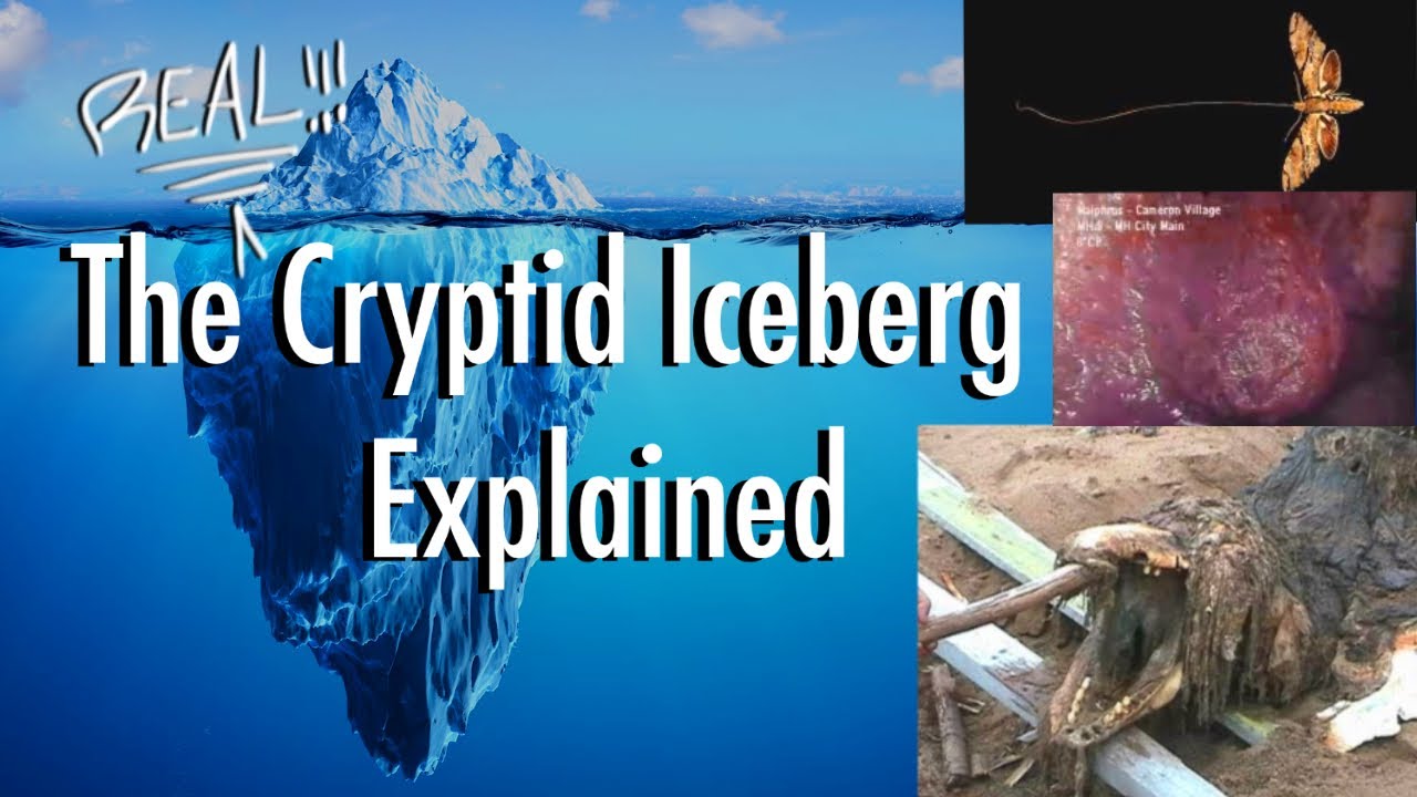 The REAL Cryptid Iceberg Explained - YouTube