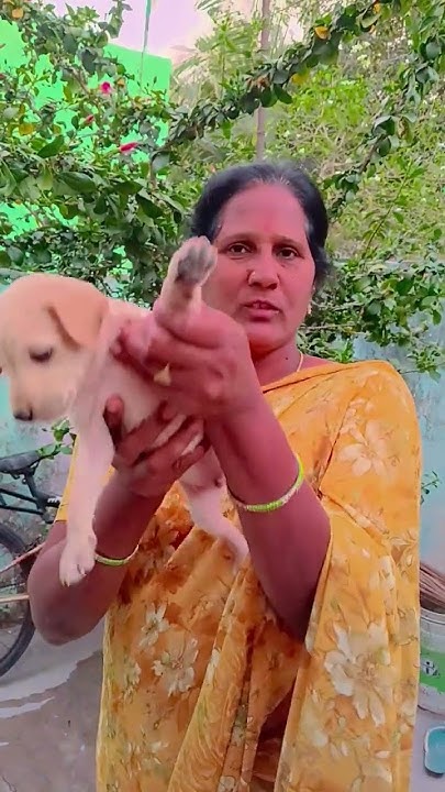 మా రాఖీ కుక్కపిల్ల తోటి డైలాగులు చెప్పిన Youtube