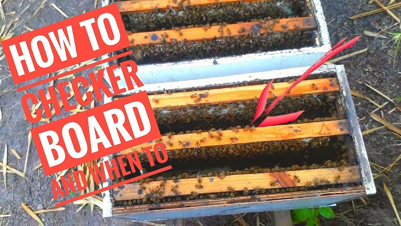 🌎 How to checkerboard frames and when to? (For the new beekeepers ...