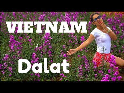 FLOWER VALLEYS, PAGODAS & WATERFALLS, Dalat, Vietnam