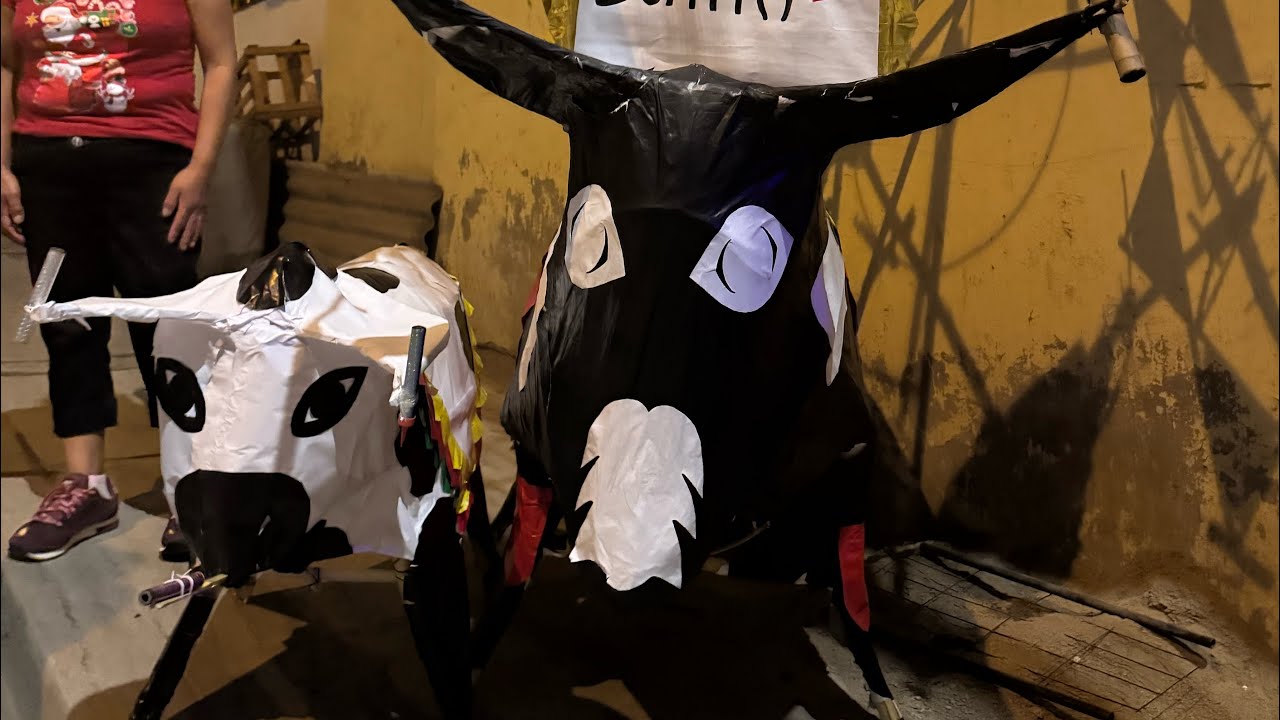 TORO LOCO VS VACA LOCA / NAVIDAD 2024 / LA FAMILIA CONCHA Y CONCHAS VIP ...