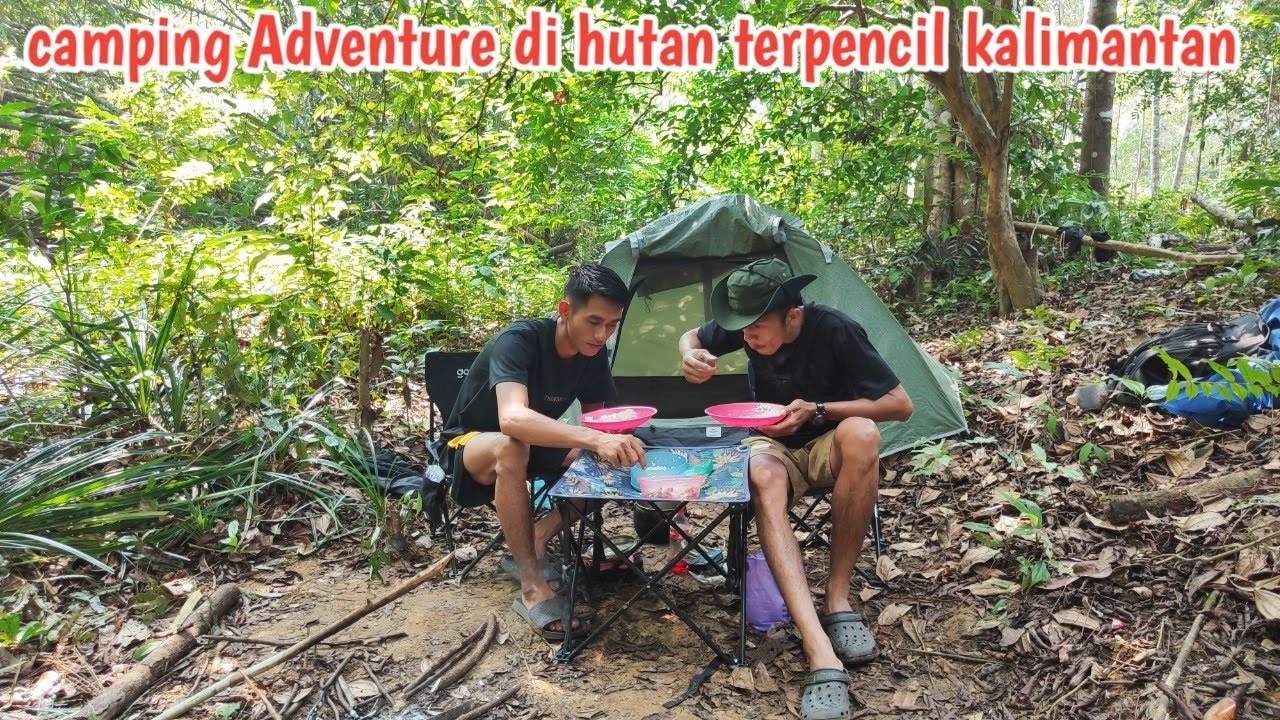 camping Adventure hutan terpencil kalimantan panen makanan - YouTube