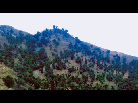 janat gul is live! - YouTube
