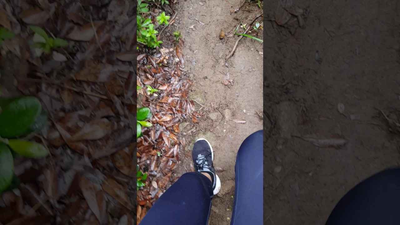 Stanley Fort HK - YouTube