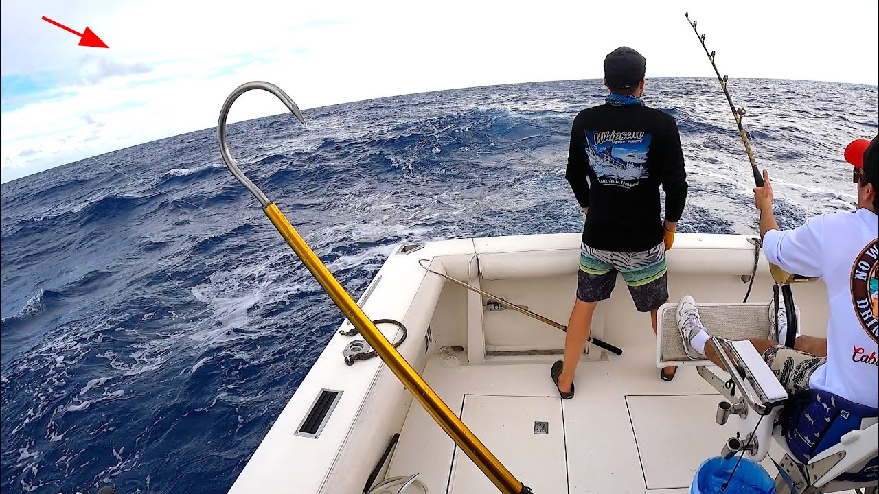 Saltwater Fishing in Hawaii!! Catch and Cook Ono Handrolls - YouTube