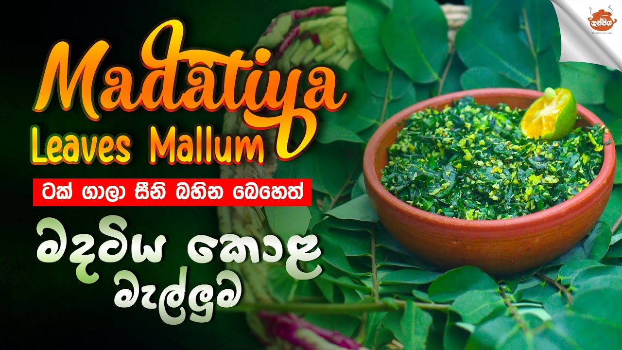 Red bead tree Leaves Mallum | Madatiya Leaves Malluma | මදටිය කොළ ...