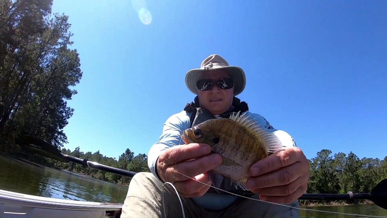 Tying the Grey Fred Fly - YouTube