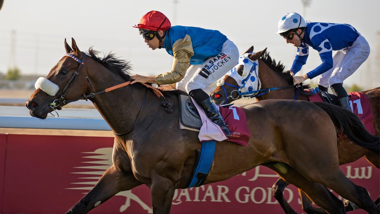 RM 41 Al Rayyan Race 3- Qatar Gold Sword and Trophy(Div1) - YouTube