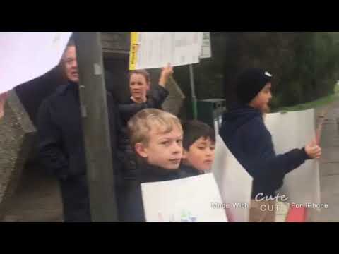 Hooting and Hollering for All Kids! - YouTube