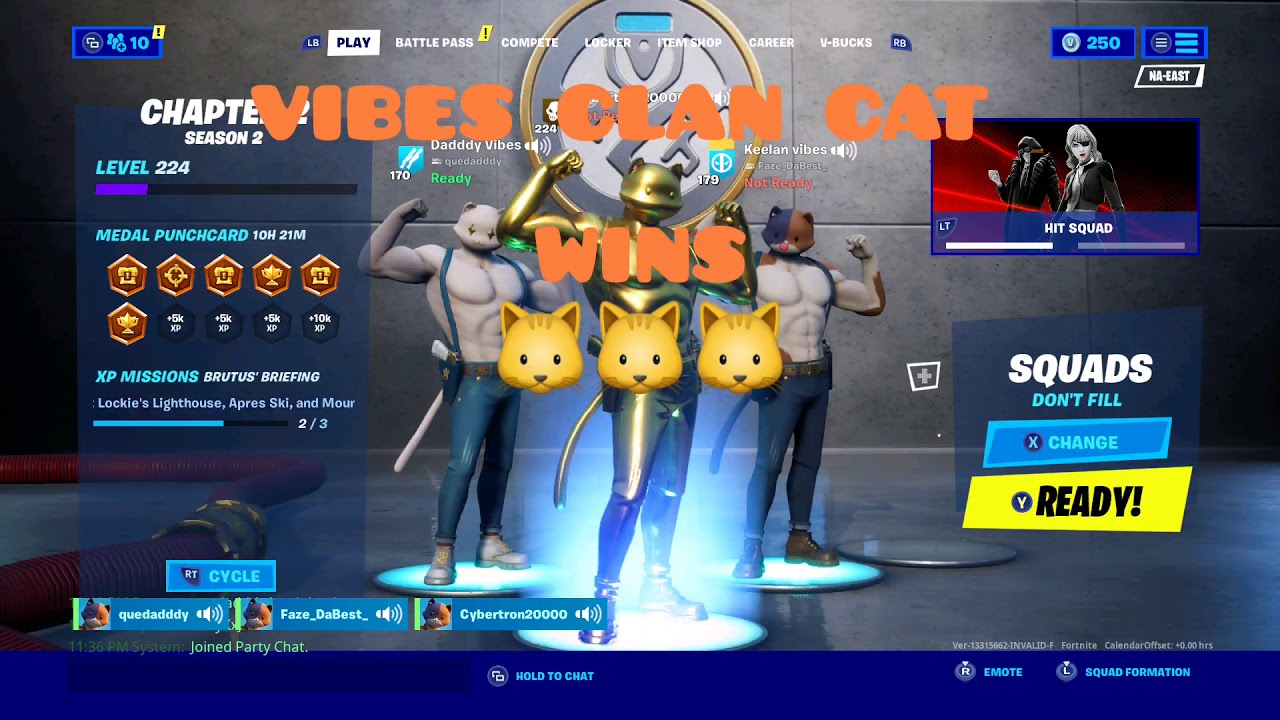 Vibes Clan Cat wins coming soon - YouTube