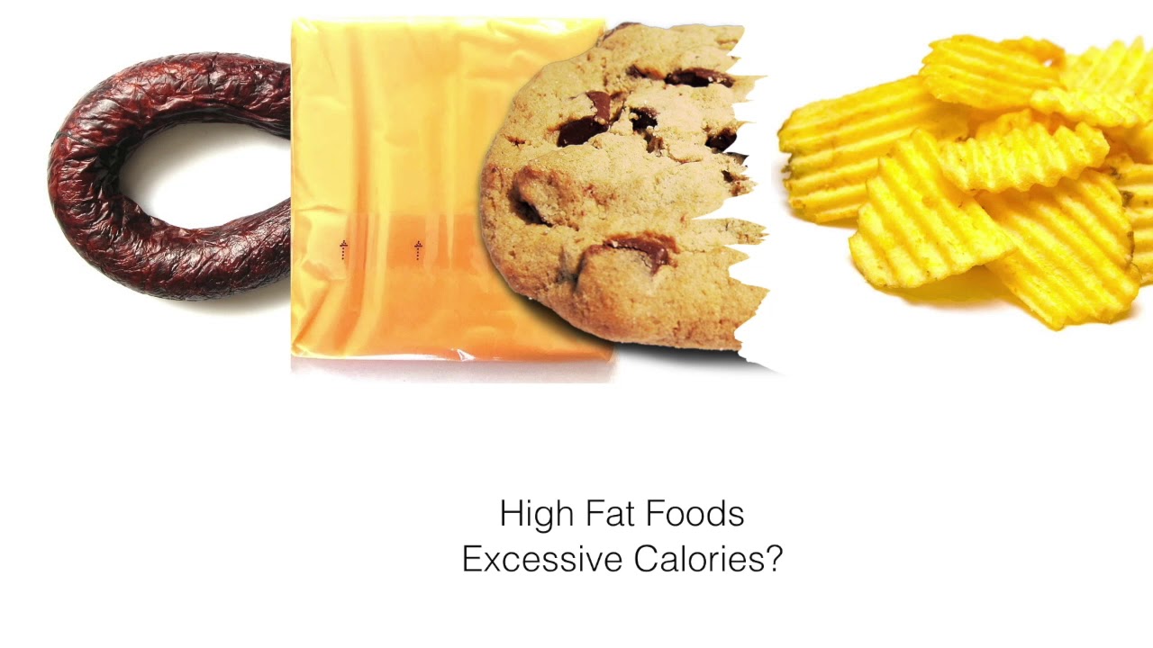 Why We Get Fat & Hungry - YouTube