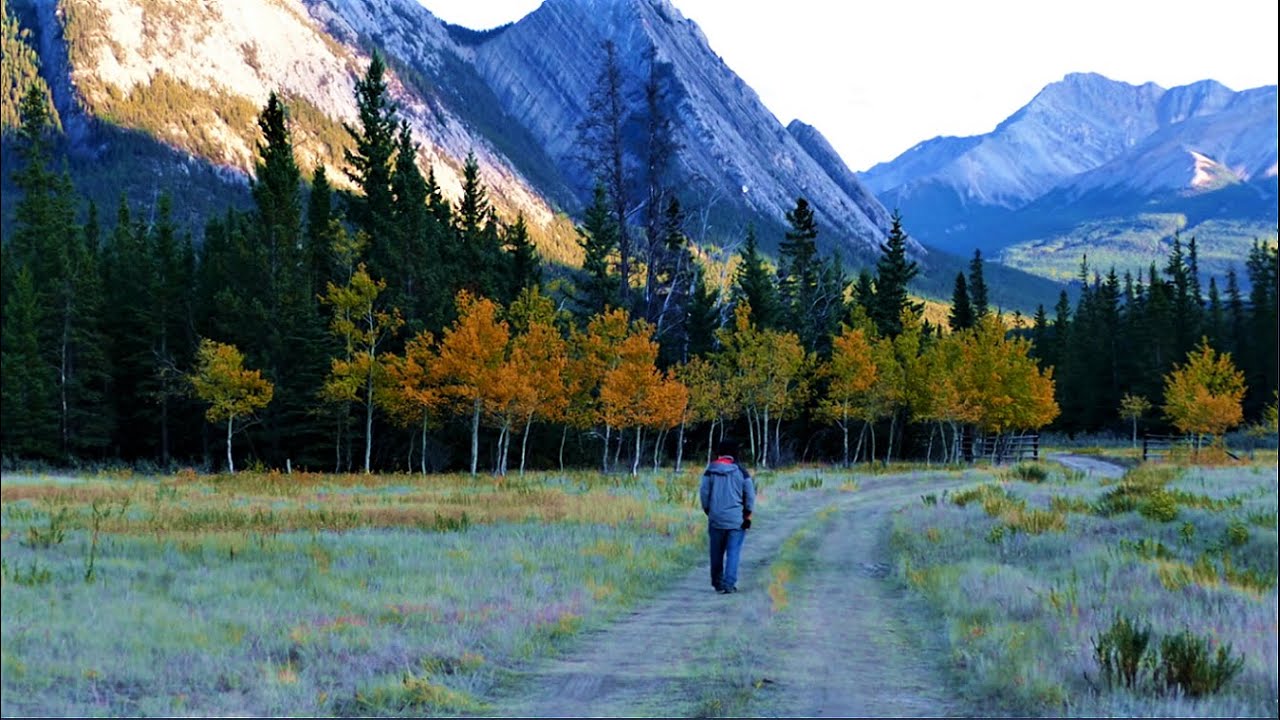 HIKE OFF THE DAVID THOMPSON HWY - YouTube