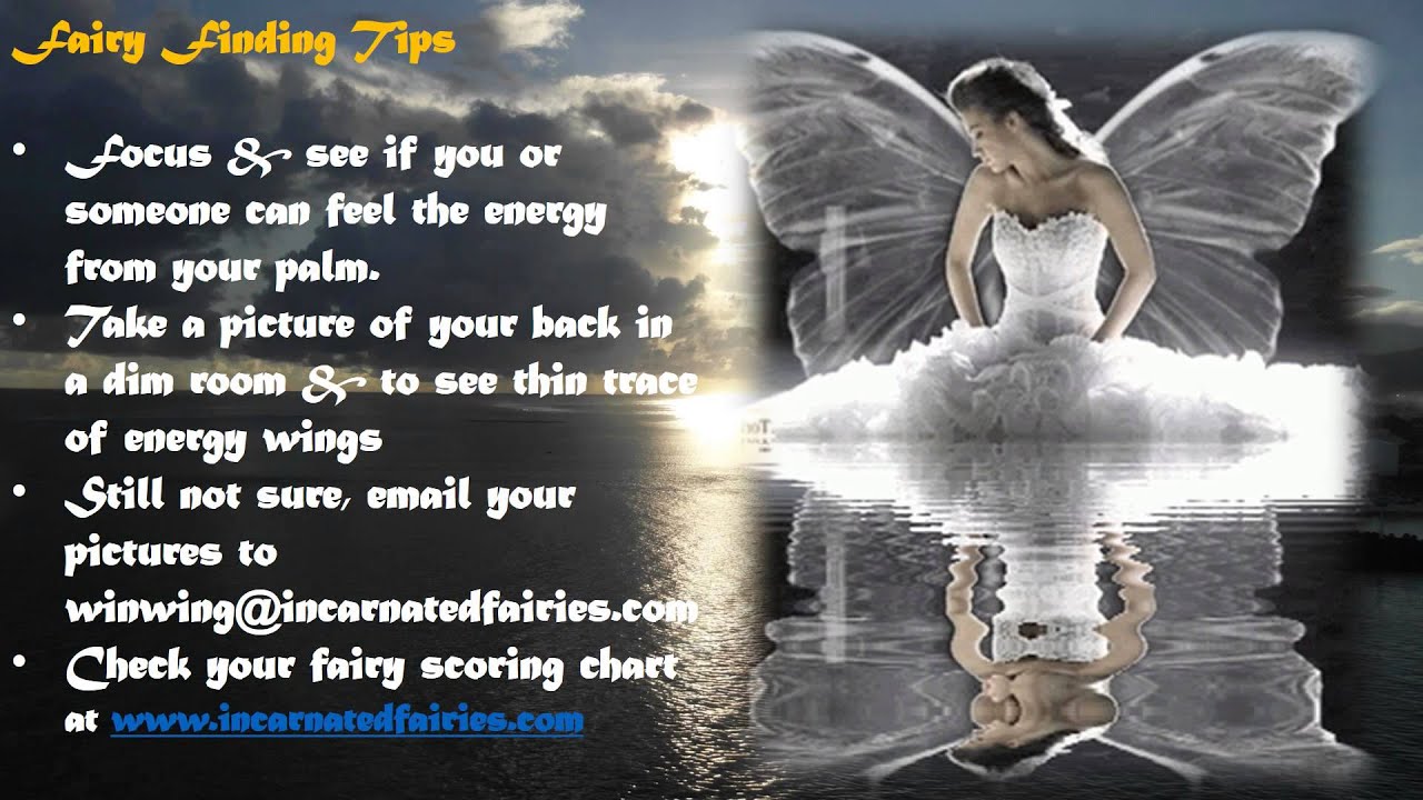 Are you an incarnated fairy? Tip on wing checking - YouTube