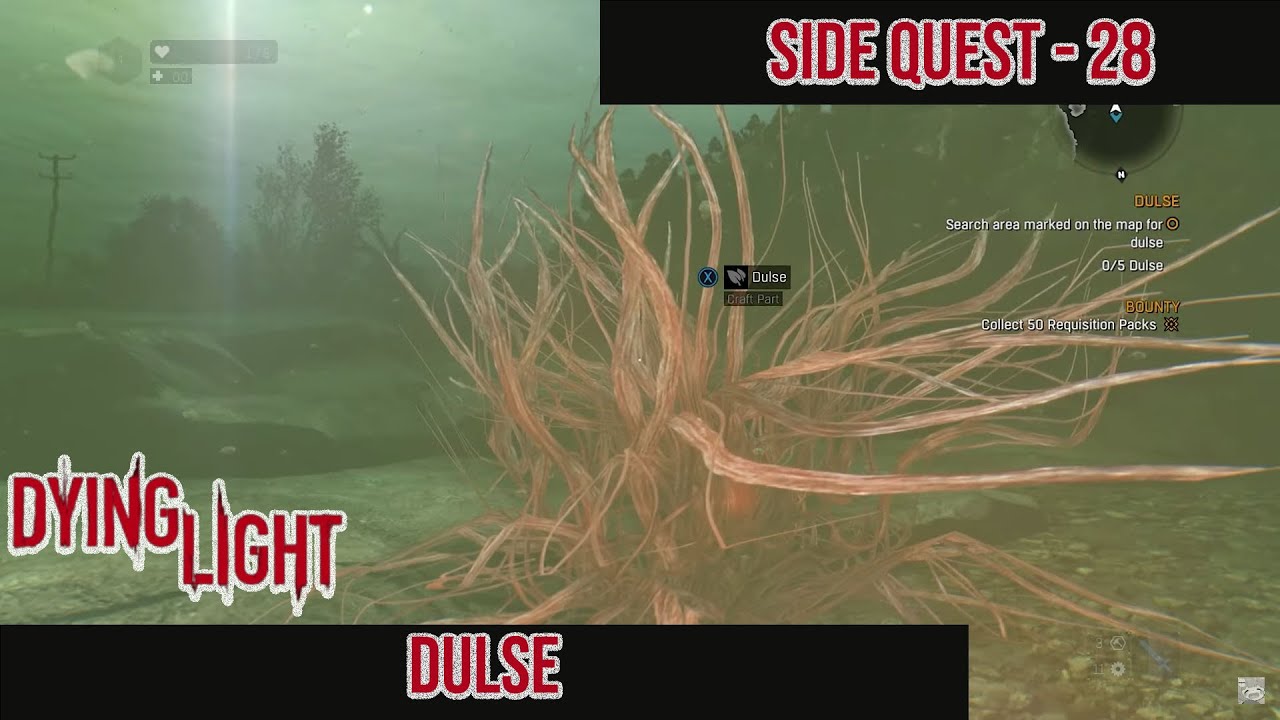 Dying Light | Side Quest 28 - Dulse - YouTube