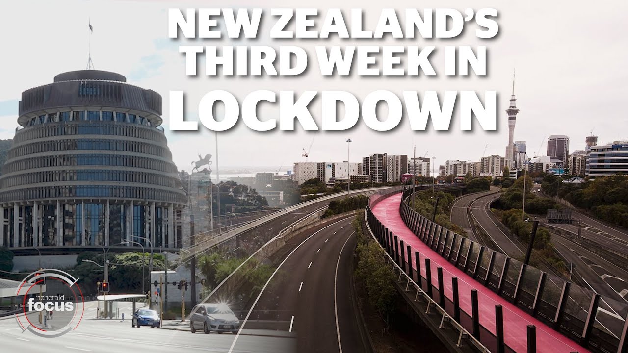 Inside Isolation: New Zealand's third week in lockdown | nzherald.co.nz ...