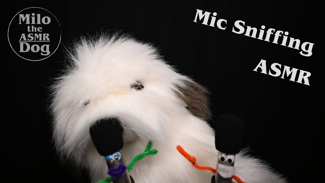 ASMR 20 Minutes of Ear to Ear Mic Sniffing! For Sleep and Study - YouTube