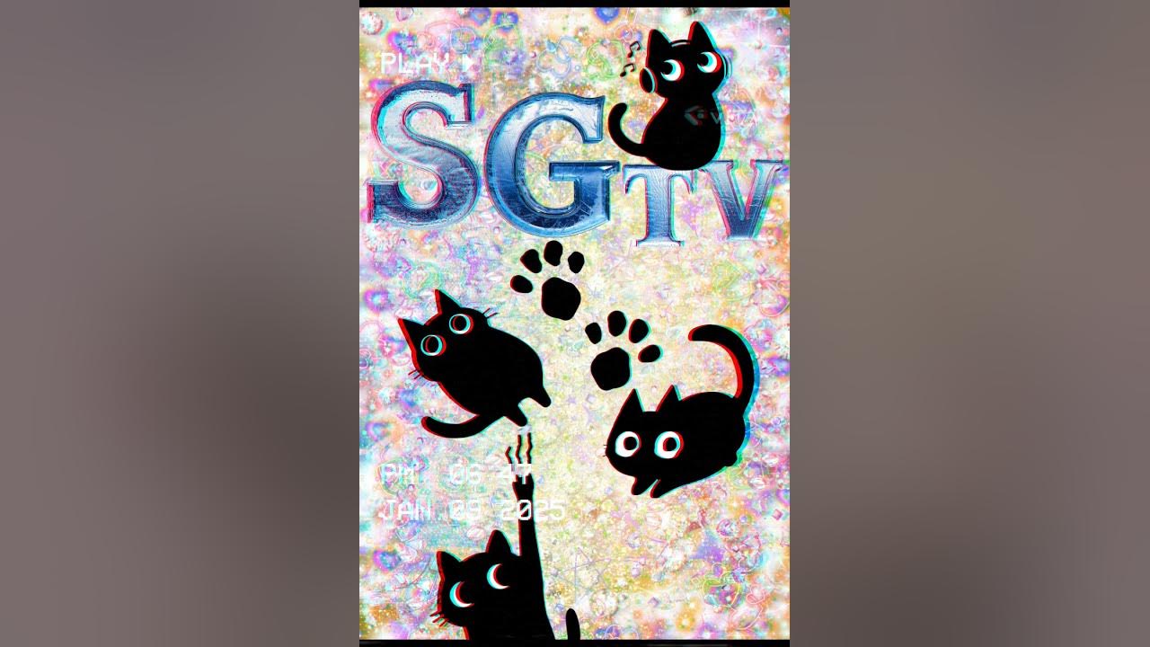 SGtv - YouTube