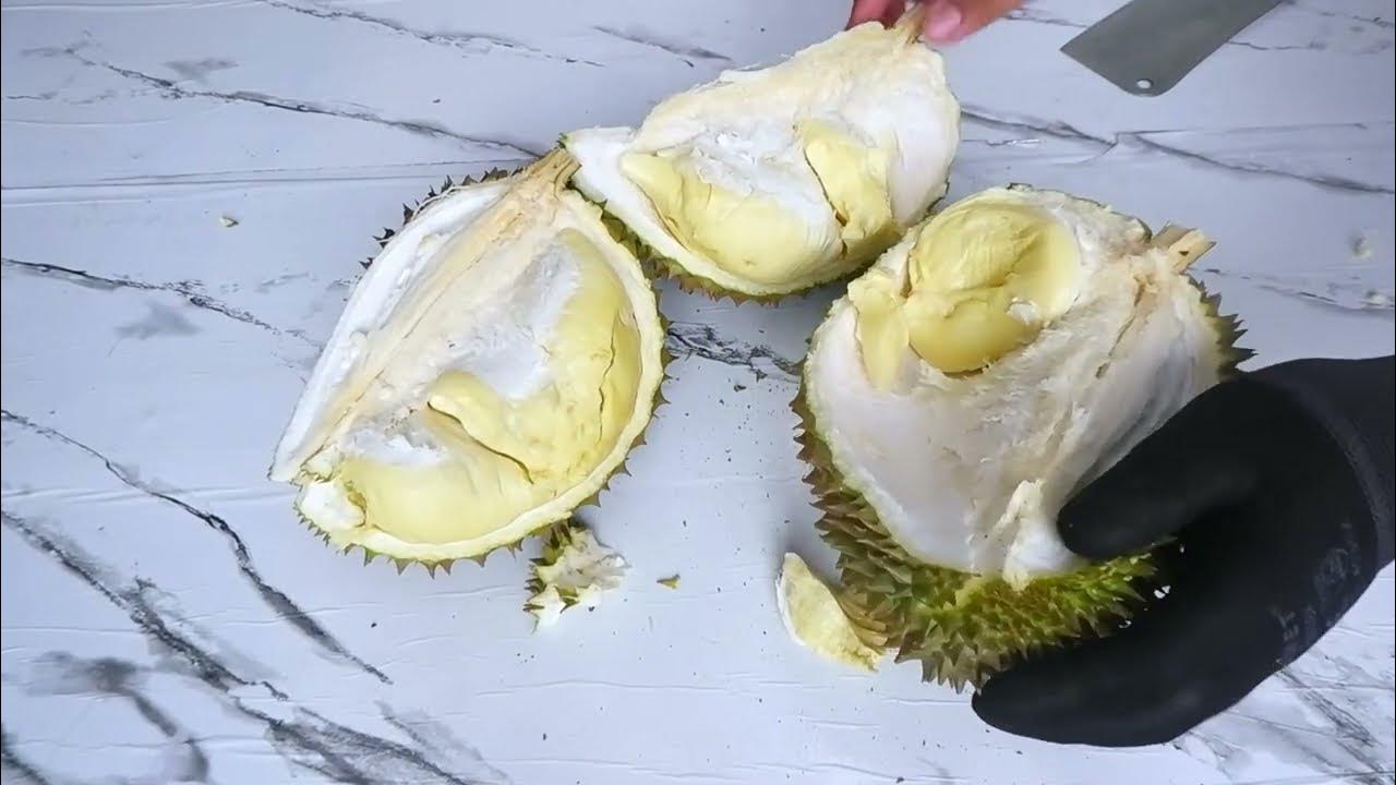 Belajar membuka atau memecahkan Durian ukuran Besar - YouTube