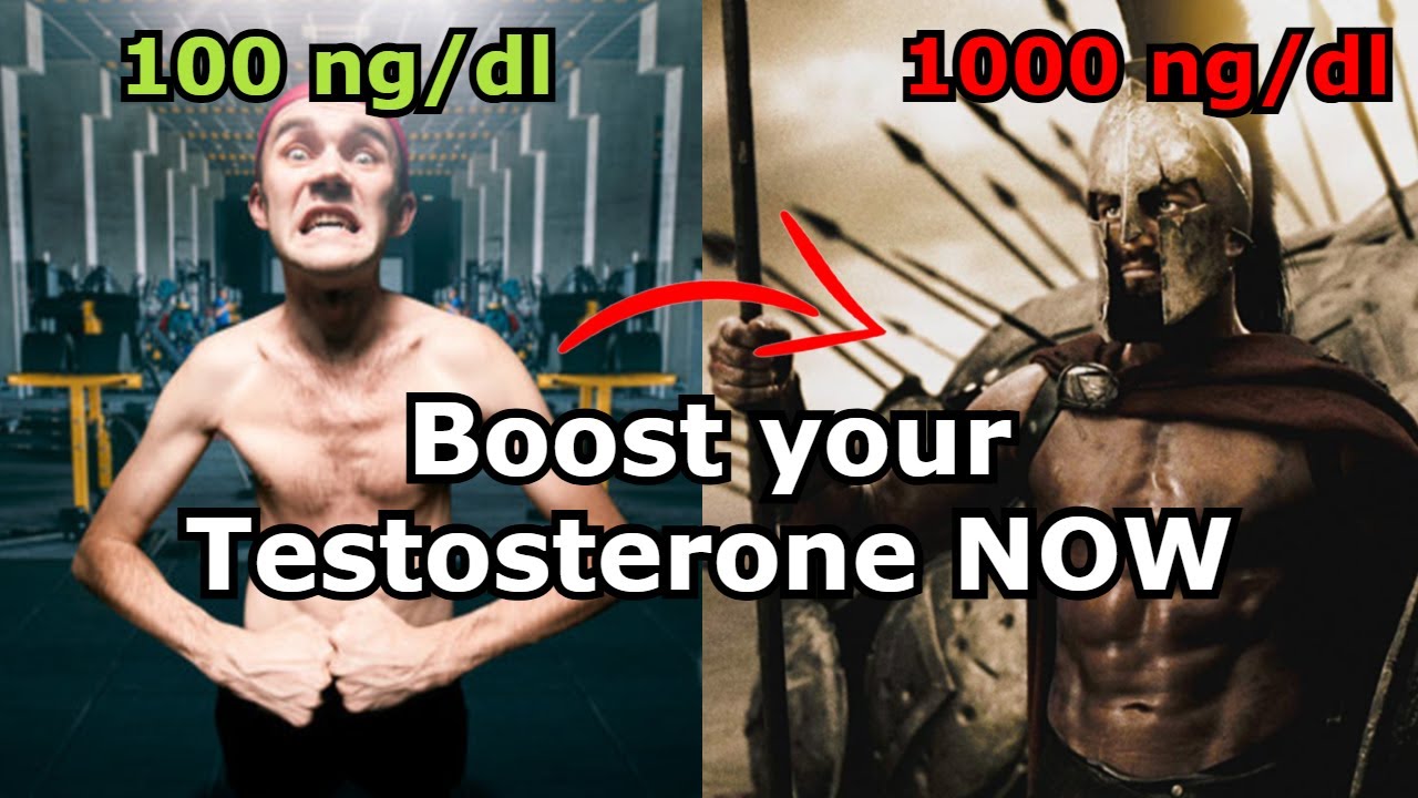 Increase Your Testosterone FAST and FREE - YouTube