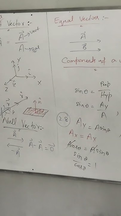 Vectors and Equilibrium | Unit vector | Null vector | #shorts #ytshorts #viral #treading #vector ...